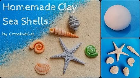 How To Make Seashells Look Shiny At Alan Burke Blog