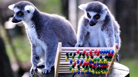 Is Math Real And Other Existential Questions Npr One