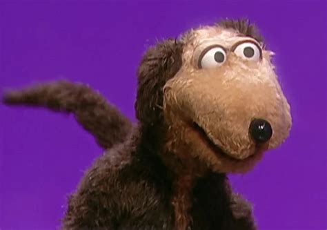 Dog Puppet Sesame Street At Donald Weekes Blog