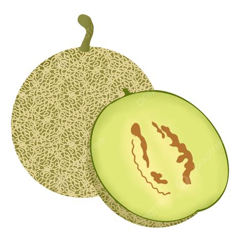 Imagens Png De Melão PNG e Vetor Fundo Transparente Para Download