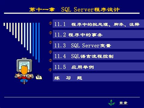 第十一章 Sql Server2005程序设计word文档在线阅读与下载无忧文档