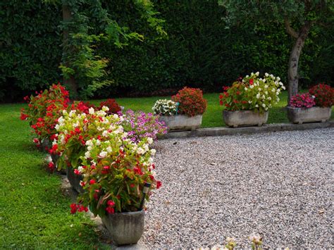 Garden Layout Tricks To Make Small Yards Look Bigger