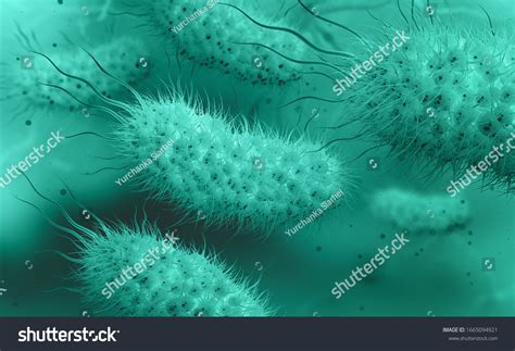 Microorganisms Under Microscope Microbes Germs Bacteria Stock Illustration 1665094921 Shutterstock