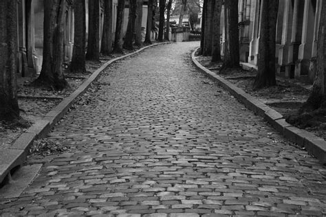 אדמה יוצרת דרך ללא מוצא יואל שתרוג אדמה יוצרת