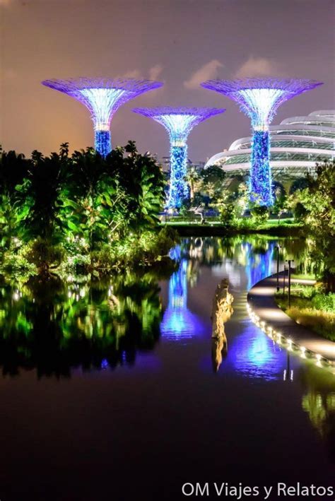 Cómo Visitar Los Súper árboles Gardens By The Bay En Singapur