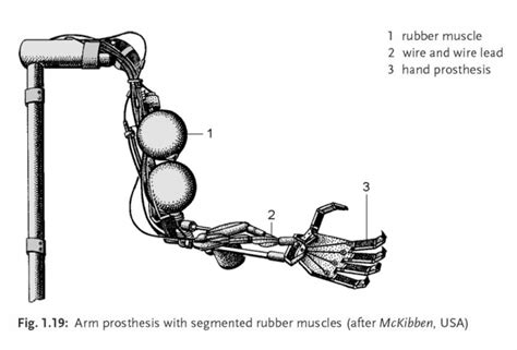Pneumatic Artificial Muscle Pam Archives