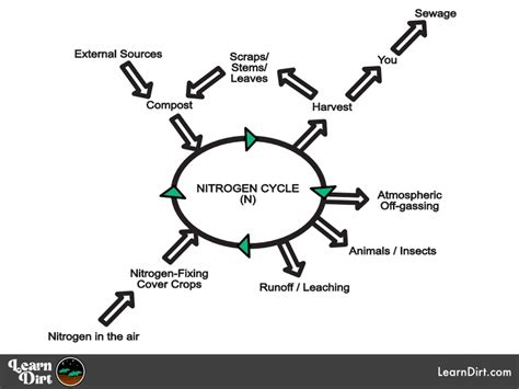 The Nitrogen Cycle In Agriculture