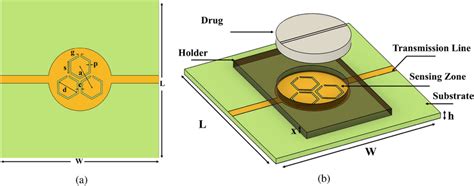 a top view and b cross sectional view of the sensor length l 60