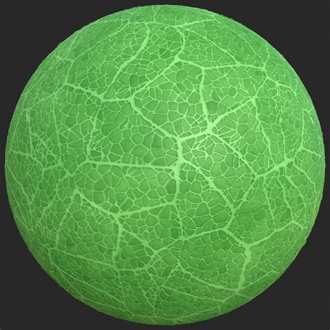 Leaf Vein Texture Free Pbr Texturecan