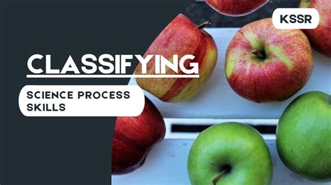 Science Process Skills Classifying Science Year 6 Kssr Youtube