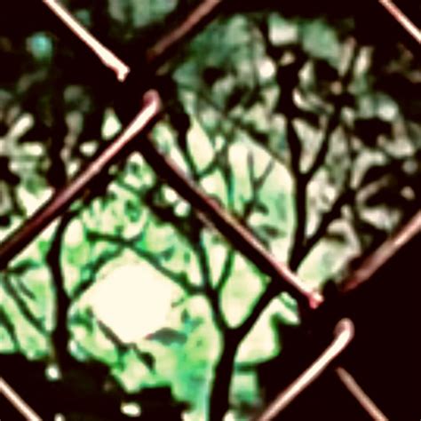 Stream Tyrone Randall Listen To Passenger With The Passenger What