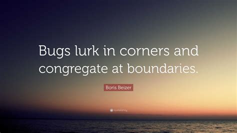 Boris Beizer Quote Bugs Lurk In Corners And Congregate At Boundaries”