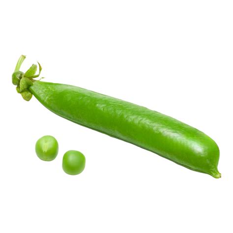 بازيلا خضرا Fadifruits