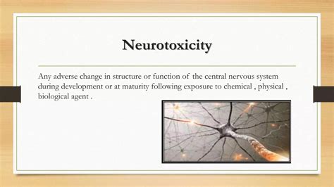 Neurotoxicity Pptx