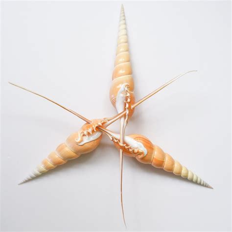 Ten Million Rooms Of Yearning Sex In Hong Kong Para Site