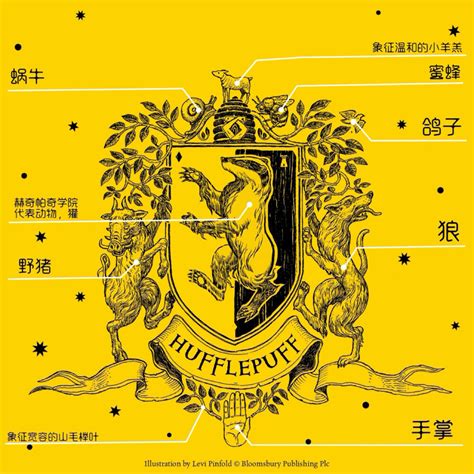 哈利波特与魔法石 赫奇帕奇 堆糖，美图壁纸兴趣社区