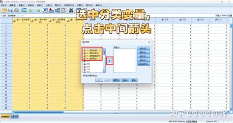 问卷数据分析spss之分类变量描述性统计 知乎