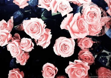 Girly Computer Wallpapers 4k Hd Backgrounds On Wallpaperbat