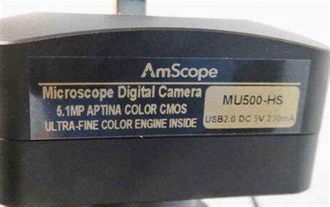 Olympus Fluorescent Microscope Bx61trf The Lab World Group