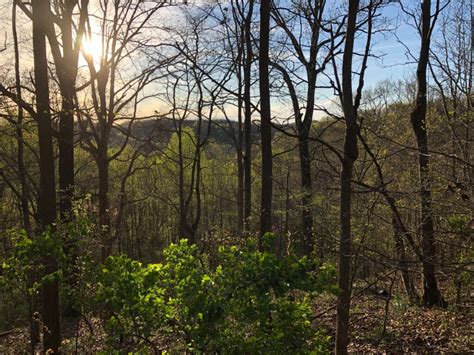 Conserve Nashvilles Highland Rim Forest