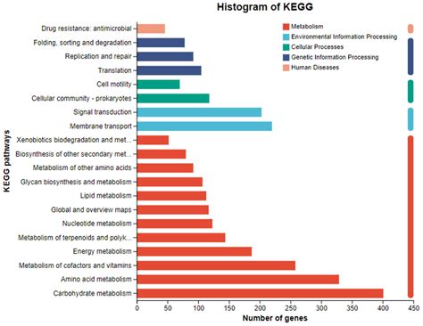 Compound Sodium Nitrophenolate Promotes Denitrification By Nitrifying