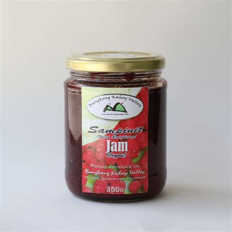 Sampinit Wild Raspberry Jam 350g Lazada Ph