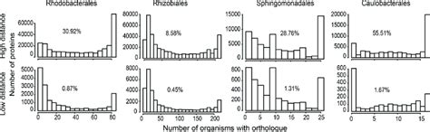 Relationship Of Gene Conservation To Distance From Repeats Genes Were