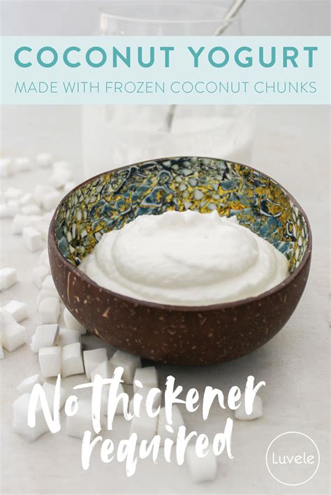 Coconut Yogurt Made From Frozen Coconut Chunks Luvele Us