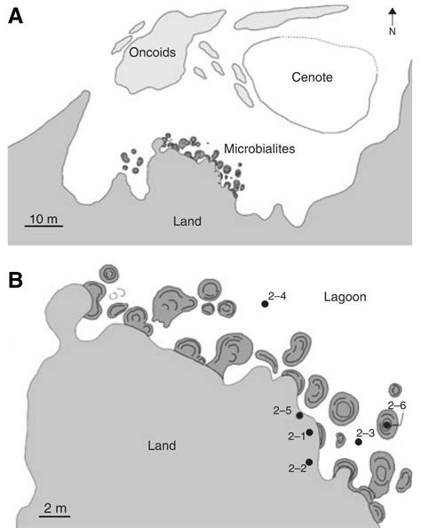 A Map Of Location 2 Including Microbialite Heads And