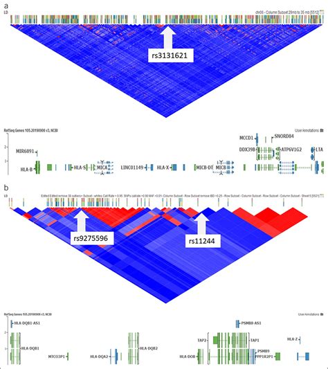 clinical and translational gastroenterology