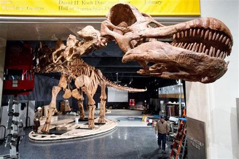 Titanosaurus Facts Habitat Diet Fossils Pictures
