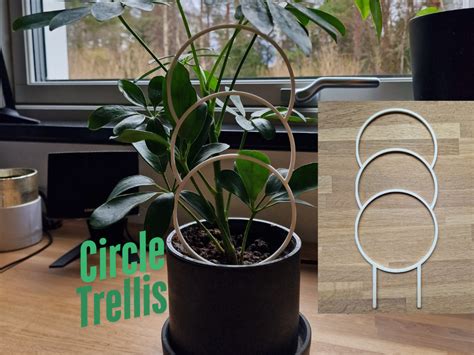 Loop Trellis By Blondiedmakerworld Download Free 3d Models