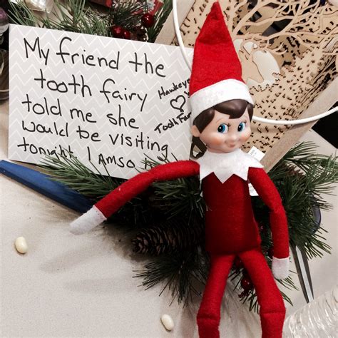 Day 7 Girl Has To Have Teeth Pulled And Elf Is Excited Because He