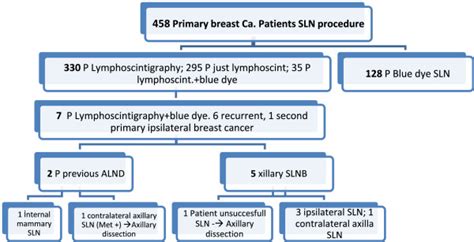 Sln Scintigraphy Procedures Performed And Patient Distribution Alnd