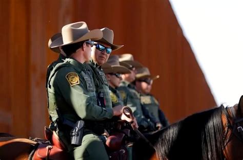 Border Patrol Agents Ecstatic Over Trump Win Washington Examiner