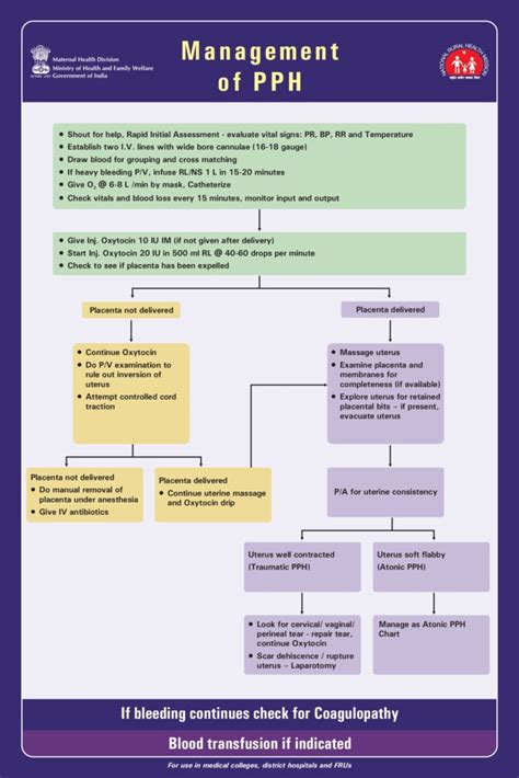 Management Of Postpartum Haemorrhage Pphstarting And Maintaining An