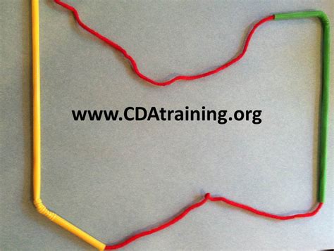 Bubbles Curriculum Theme