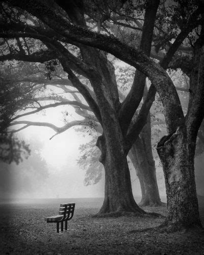 Artworks Gallery Hop To Feature Three Artists News Sports Jobs The Intelligencer