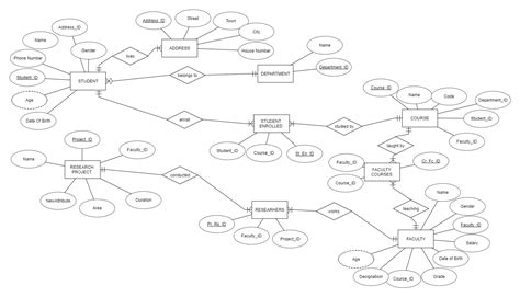 Er Diagram For Alumni Management System This University Data