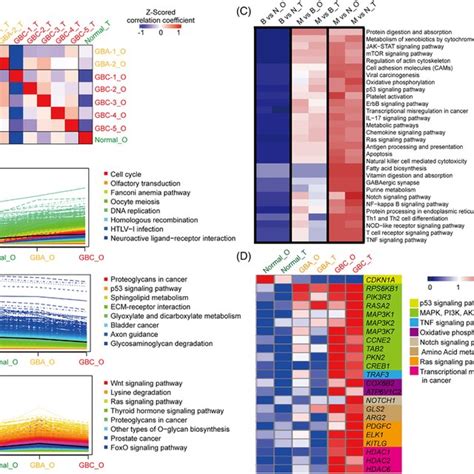 Transcriptomic Analysis Of Organoid Lines And Their Original Tissues Download Scientific