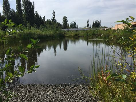 Meet The Landscape Architects Of Parametrix Parametrix