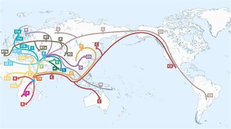 Y Chromosomes And Mitochondrial Dna A New Frontier Of Genetic Ancestry