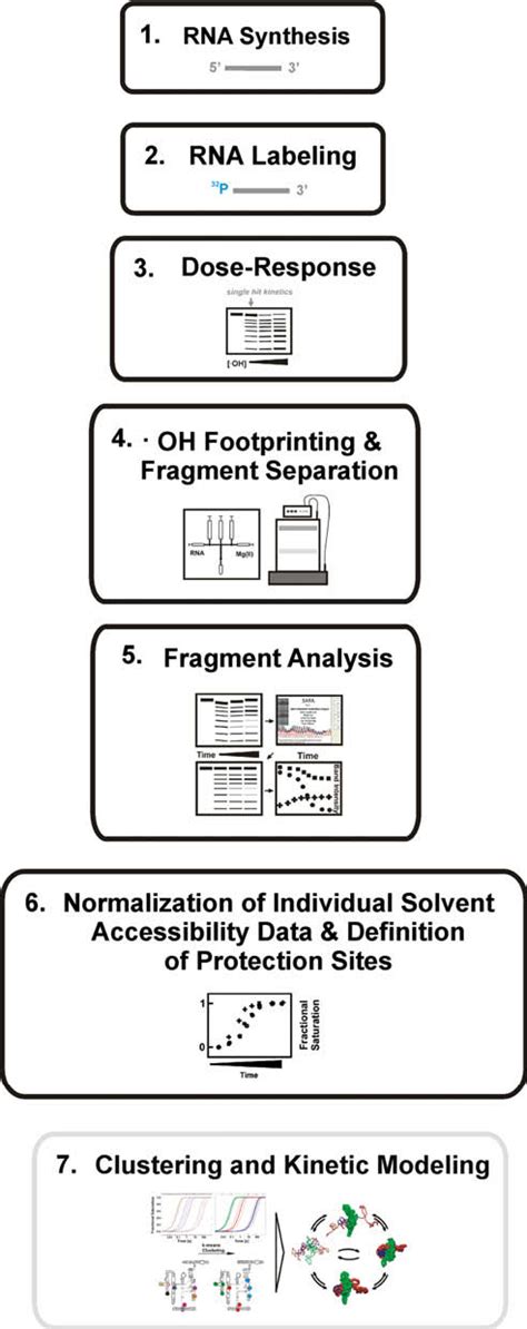 Figure 1 From Complementing Global Measures Of Rna Folding With Local
