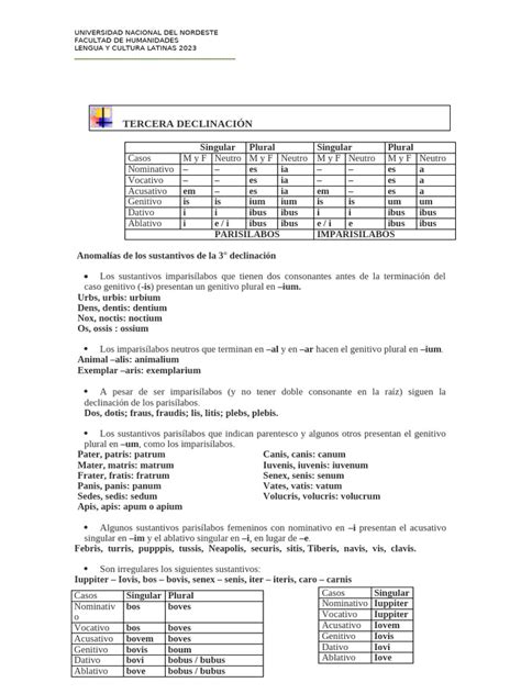 Tercera Declinación En Latín Casos Y Anomalías Pdf Morfología