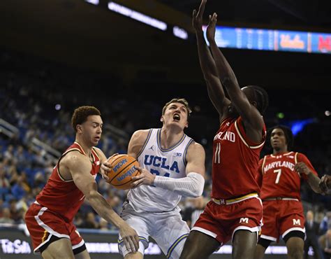 Ucla Mens Basketball Cruises Past Maryland Daily News