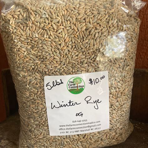 Winter Rye Organically Grown Native Plants For Sale The Farm Connection