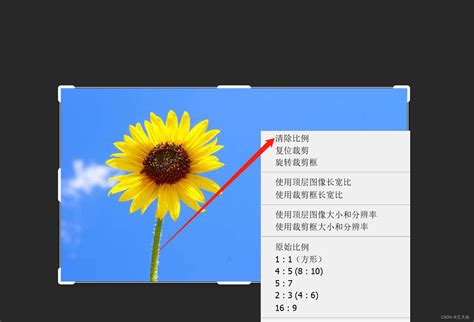 Ppt画图如何保存600dpi以及消除白边问题ppt如何导出600dpi的图片 Csdn博客
