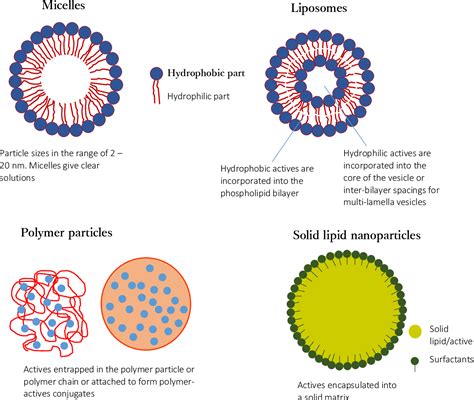 Figure 210 From Solid Lipid Matrices For Delivery Of Laundry Actives