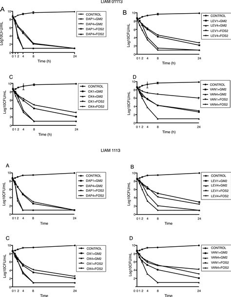 Clinical Efficacy Of Fosfomycin Combinations Against A Variety Of Gram
