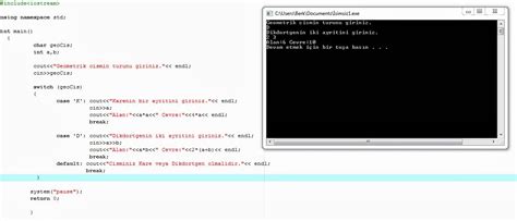 Switch Case C New At Elizabeth Hewitt Blog